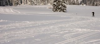 Šumava | Webkamery | Horská služba ČR
